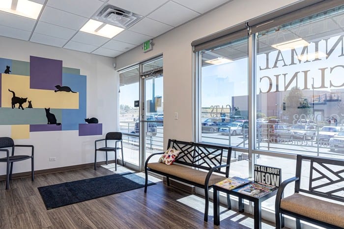 Veterinarian in Centennial, CO - Festival Animal Clinic